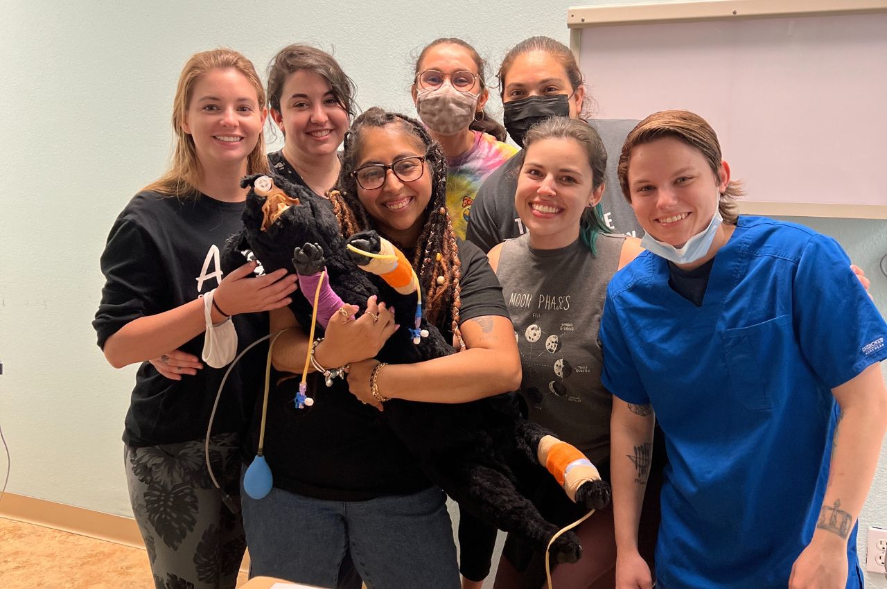 Recover Rescuer Certified | Suncoast Veterinary Emergency & Specialty ...